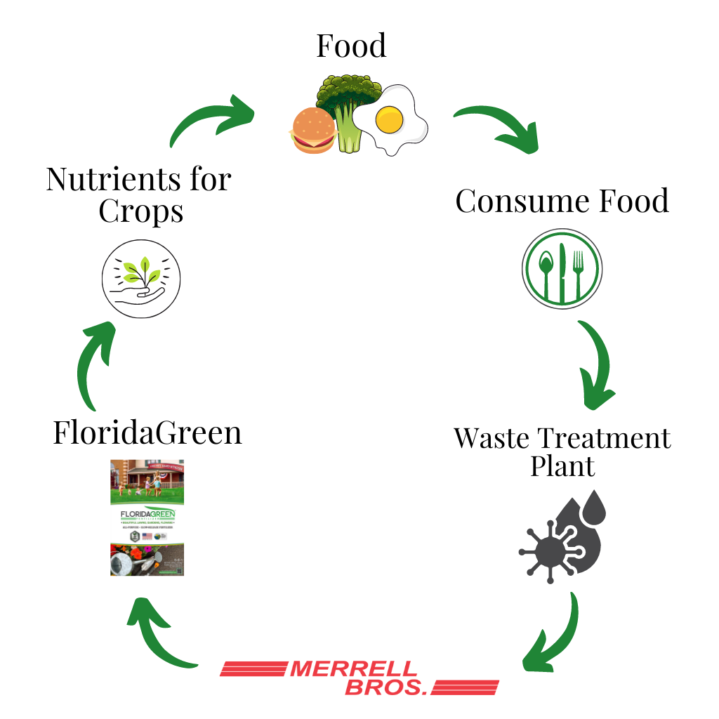 What is FloridaGreen - Florida Green